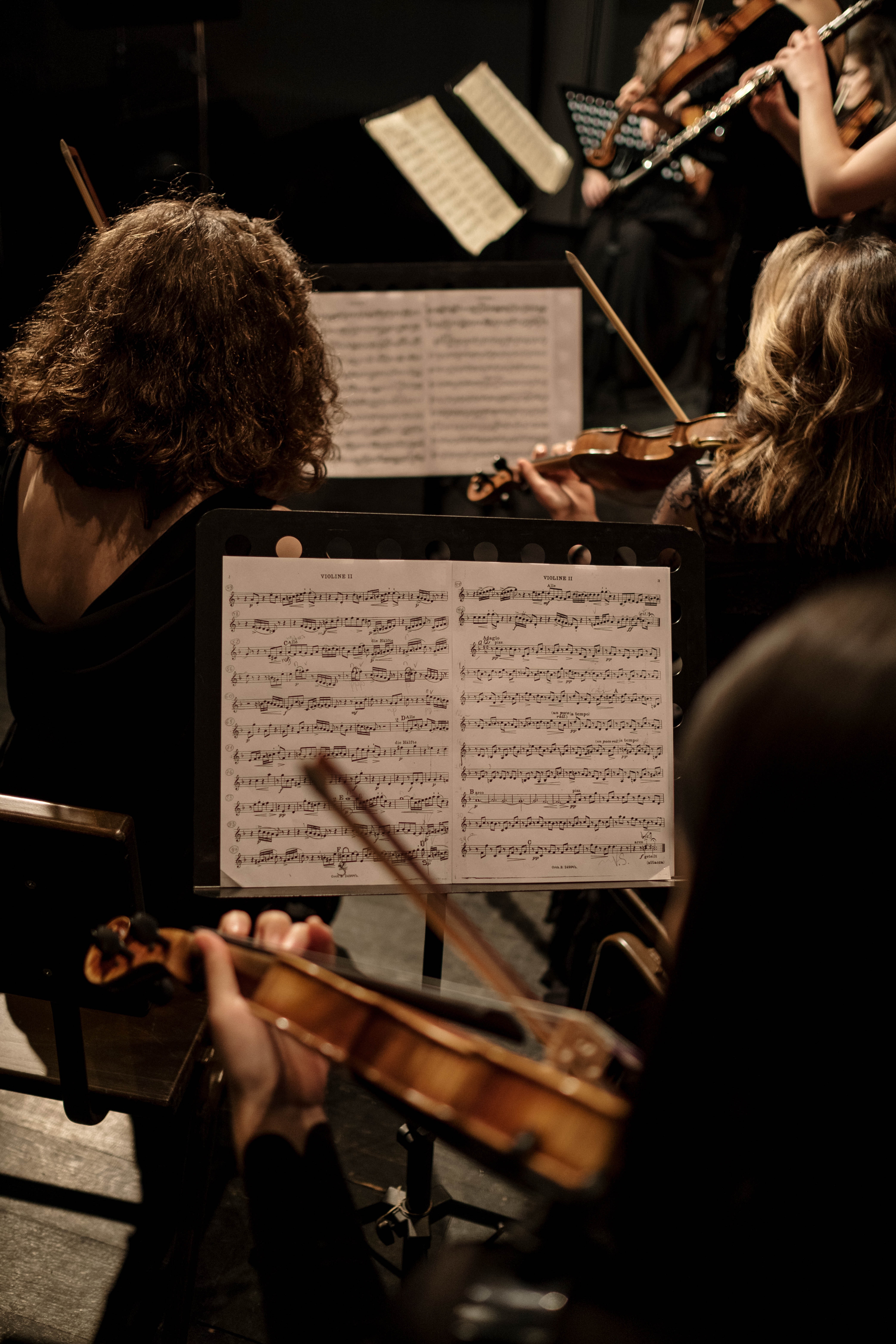 Ensembles and Chamber Groups – Trent River Chamber Players